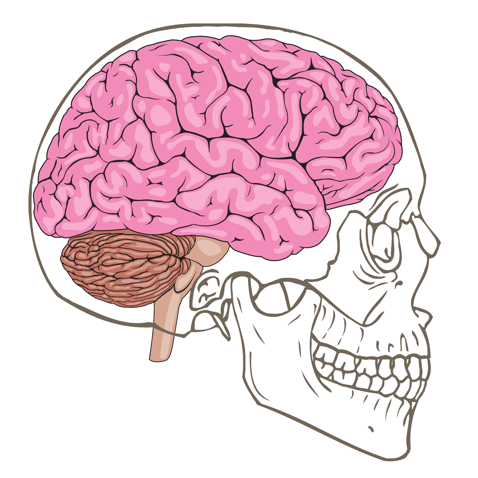 Brainfk Interpreter